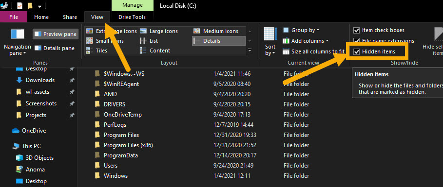 How to Unhide and See Hidden Files in File Explorer - Stugon